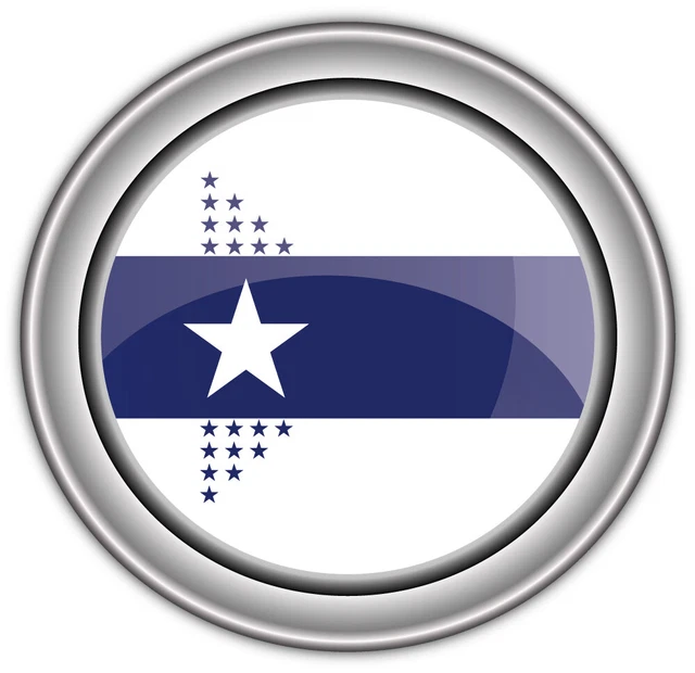 DOPASTICKER Illinois Centennial Usa State Flag Silver Badge Car Sticker ...