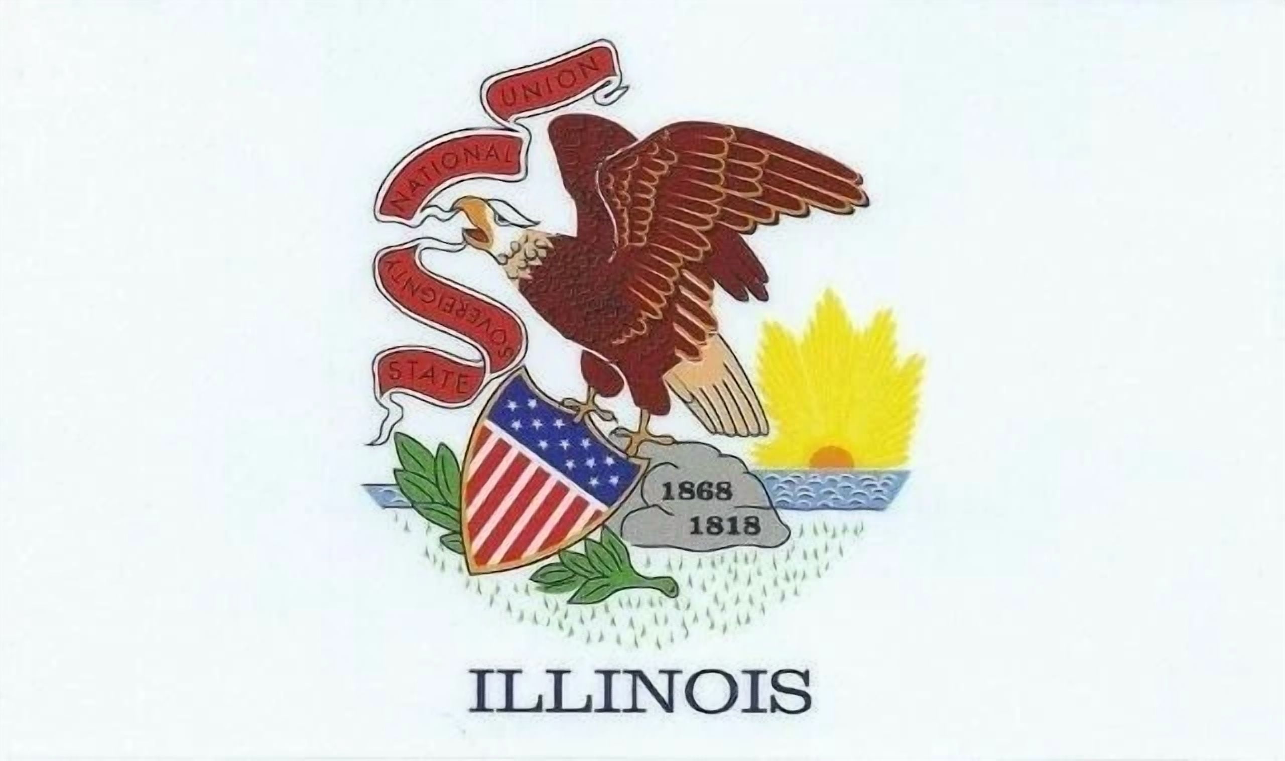 DOPASTICKER Illinois State Flag Sticker Car Stickers Car Sticker Phone ...