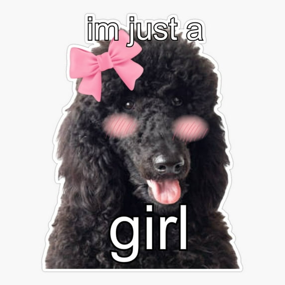 DOPASTICKER Im Just A Girl Black Poodle Sticker, Phone Sticker Car ...