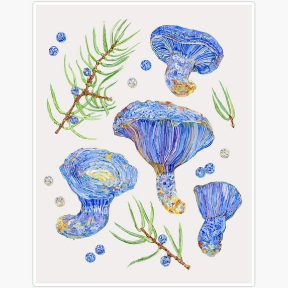 DOPASTICKER Indigo Milk Cap Mushroom And Juniper - Eggshell Sticker ...