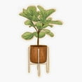 DOPASTICKER Inside Fiddle Fig Tree Plant Sticker, Phone Sticker Car ...