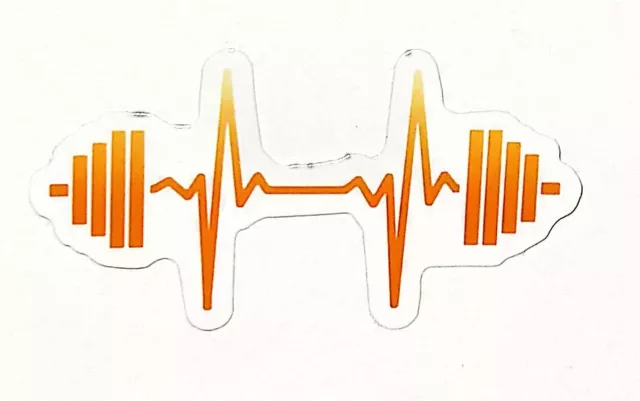 DOPASTICKER Inspirational Exercise Gym Workout Weightlifting Sticker ...