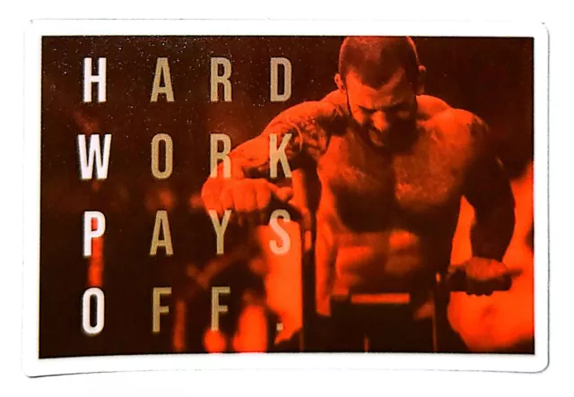 DOPASTICKER Inspirational Exercise Gym Workout Weightlifting Sticker ...