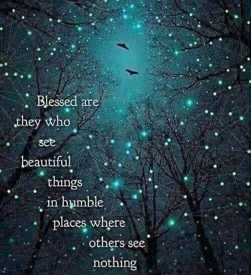 DOPASTICKER Inspirational Sticker See Beautiful Things In Ordinary ...