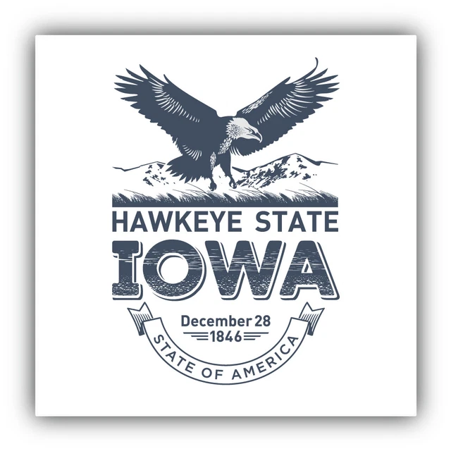DOPASTICKER Iowa Usa State Vintage Sticker Car Phone Decal Water Bottle ...
