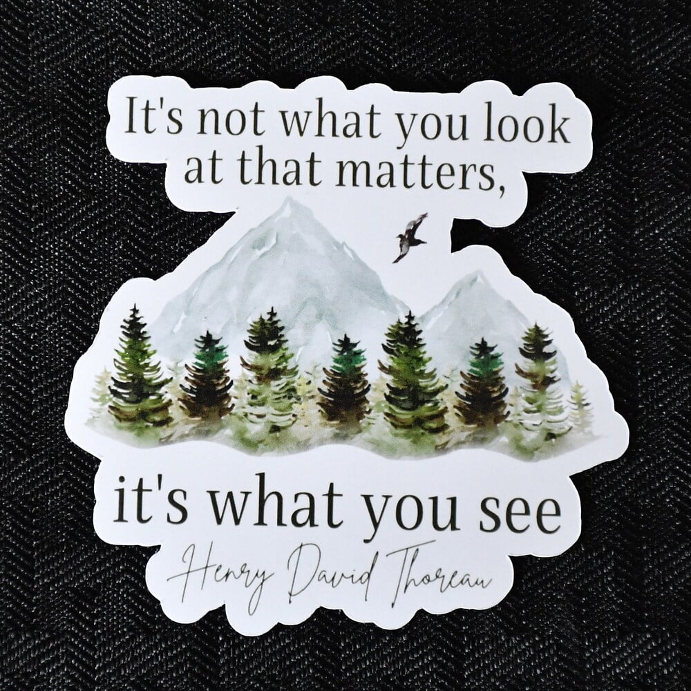 DOPASTICKER It'S Not What You Look At It'S What You See Sticker ...