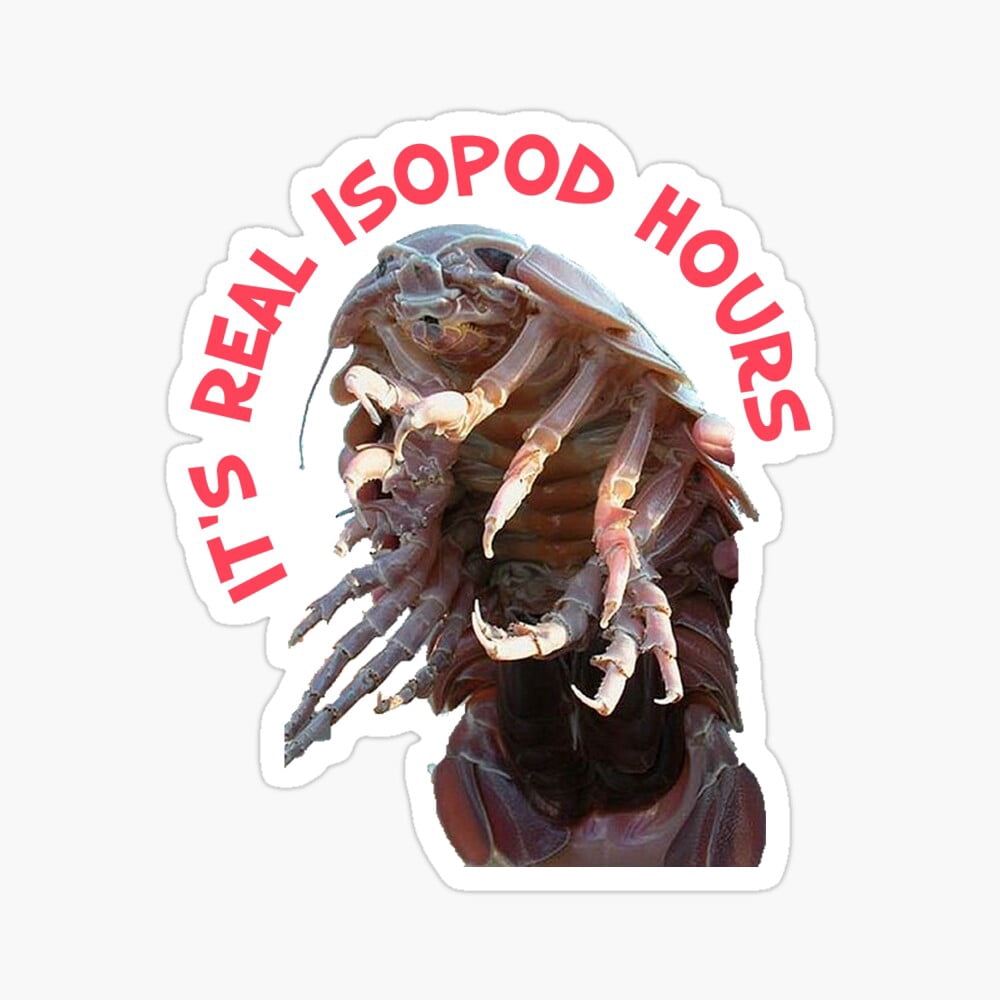 DOPASTICKER It'S Real Isopod Hours - Hot Trending Sticker Phone Decal ...