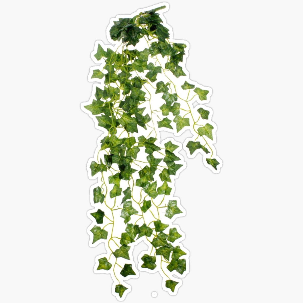 DOPASTICKER Ivy Sticker Phone Decal Water Bottle Stickers, Cars ...