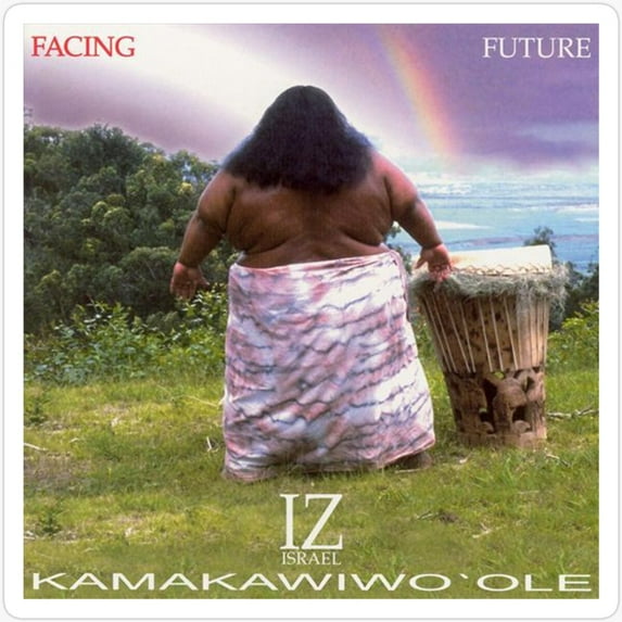 DOPASTICKER Iz Album Cover Facing Future Sticker Decorative Laptop ...