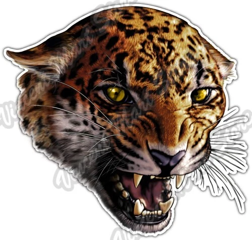 DOPASTICKER Jaguar Stare Head Cat Wildlife Animal Car Sticker Decal ...