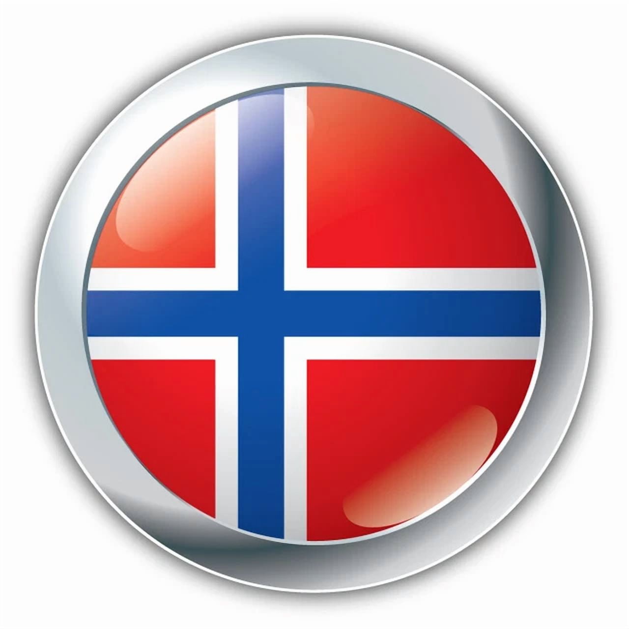 DOPASTICKER Jan Mayen Flag Silver Car Sticker Phone Decal Water Bottle ...