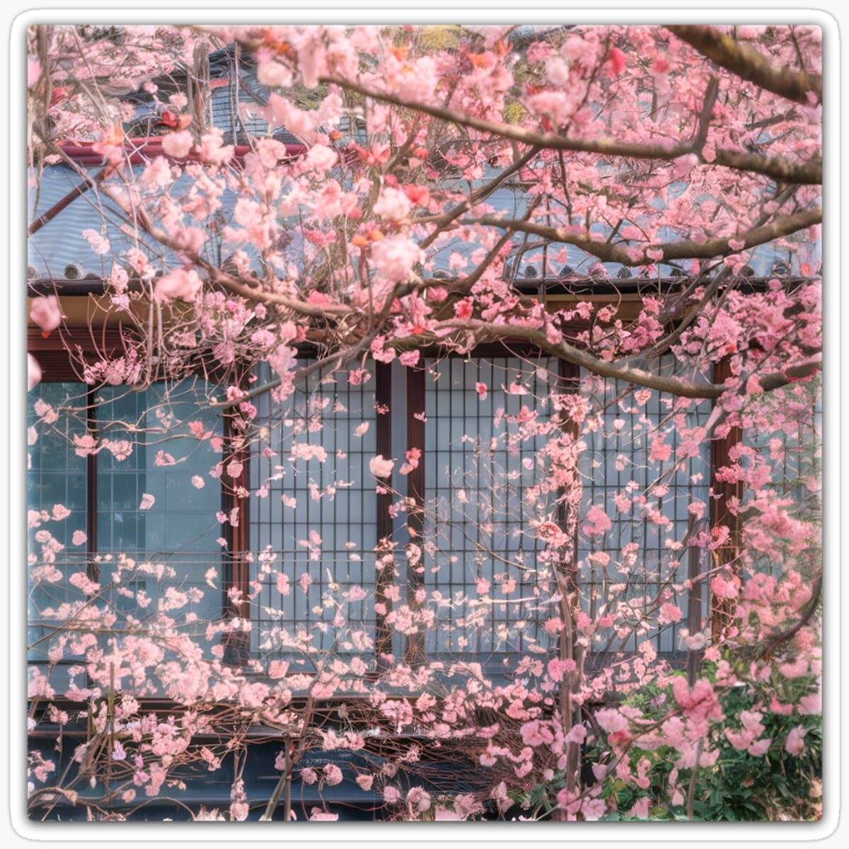 DOPASTICKER Japan Sakura Trees Sticker Decorative Laptop, Phone ...