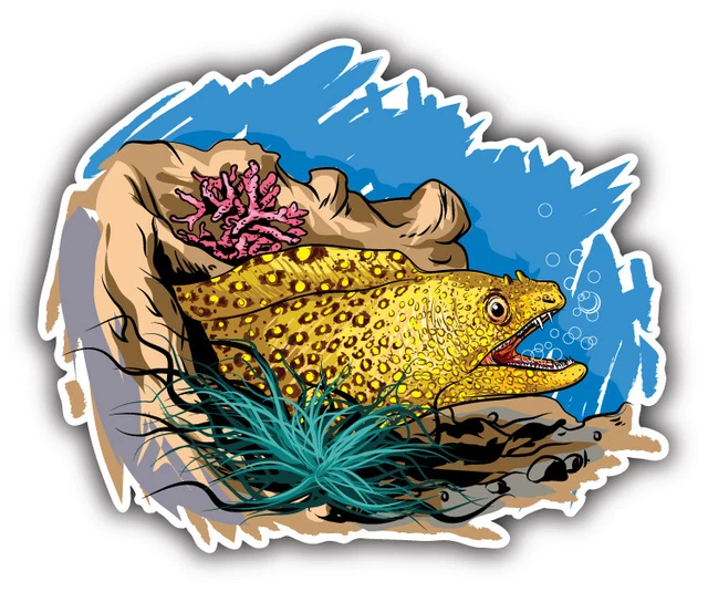 DOPASTICKER Jeweled Moray Eel Sticker Decal Phone Decal Water Bottle ...