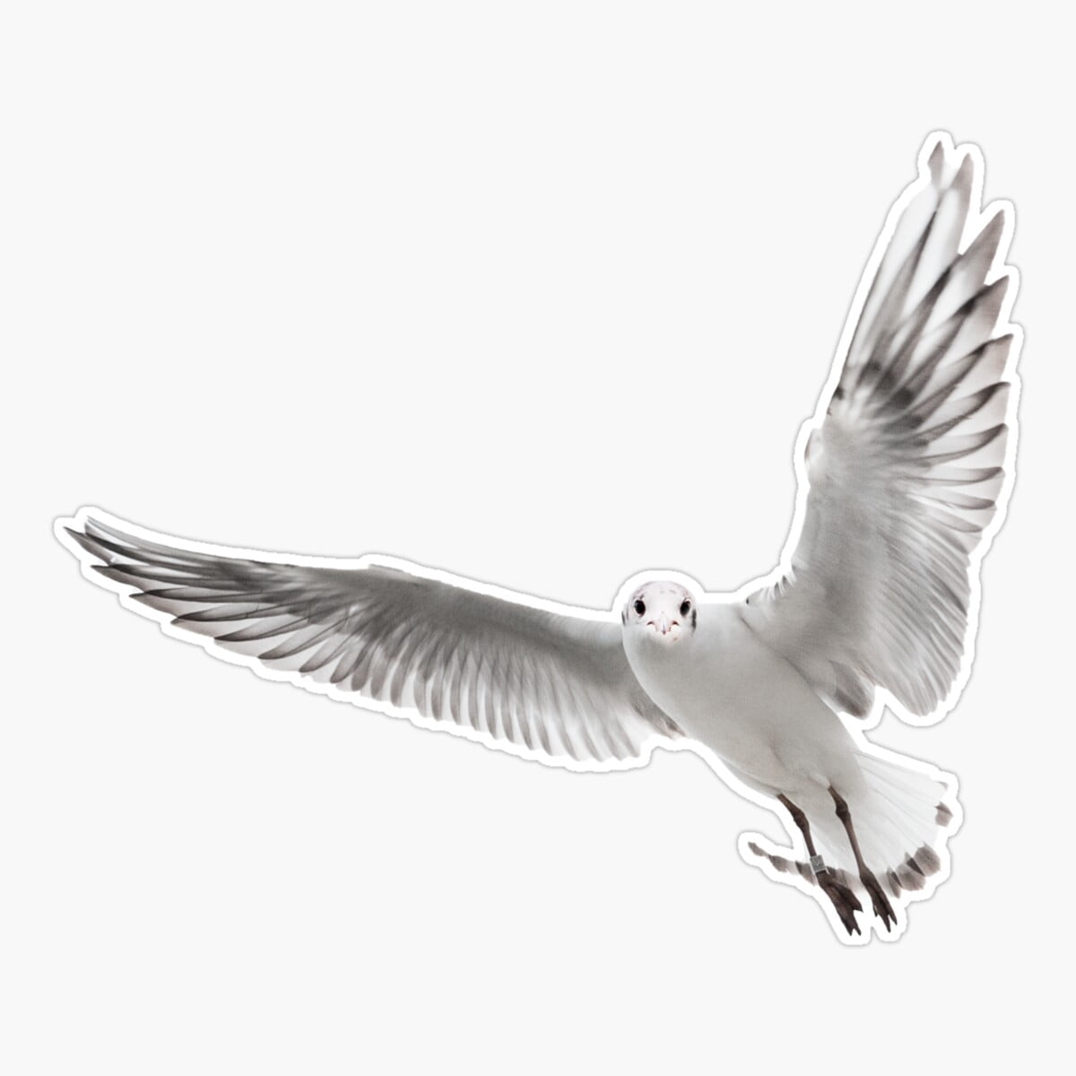 DOPASTICKER Jonathan The White Seagull Sticker, Phone Sticker Car ...