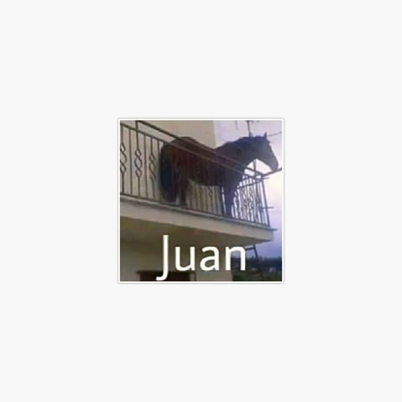 DOPASTICKER Juan The Horse Sticker, Phone Sticker Water Bottle Sticker ...