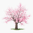 DOPASTICKER June Birthday Cherry Tree Sticker, Phone Sticker Car ...