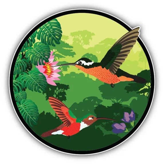 DOPASTICKER Jungle Hummingbirds Cartoon Car Sticker Phone Water Bottle ...