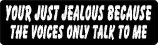 DOPASTICKER Your Just Jealous Because The Voices Only Talk To Me ...