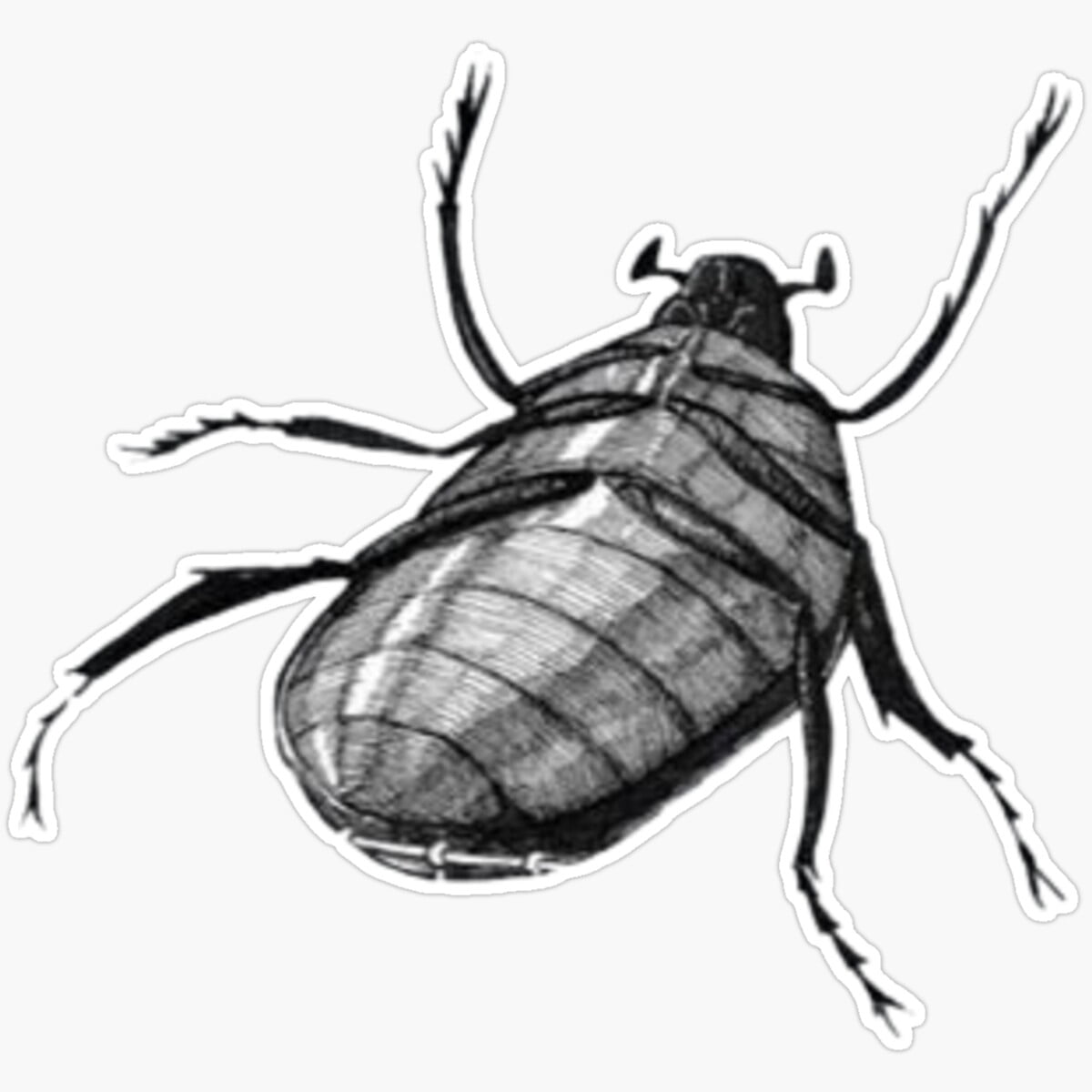 DOPASTICKER Kafka Gregor Samsa Sticker Decorative Laptop, Phone ...