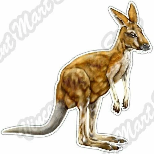 DOPASTICKER Kangaroo Australia Animal Wildlife Car Window Sticker Decal ...