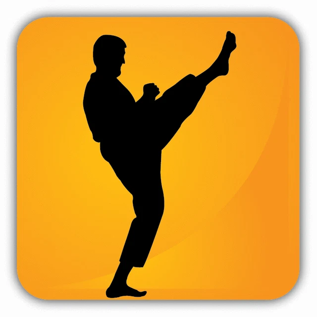 DOPASTICKER Karate Sport Icon Fighting Sticker Decal Phone Decal Water ...