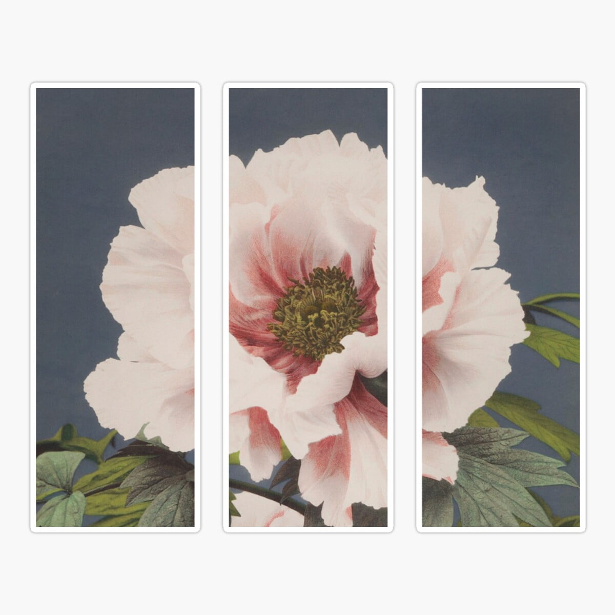 DOPASTICKER Kazumasa I Sticker, Phone Sticker Car Stickers, Birthday ...