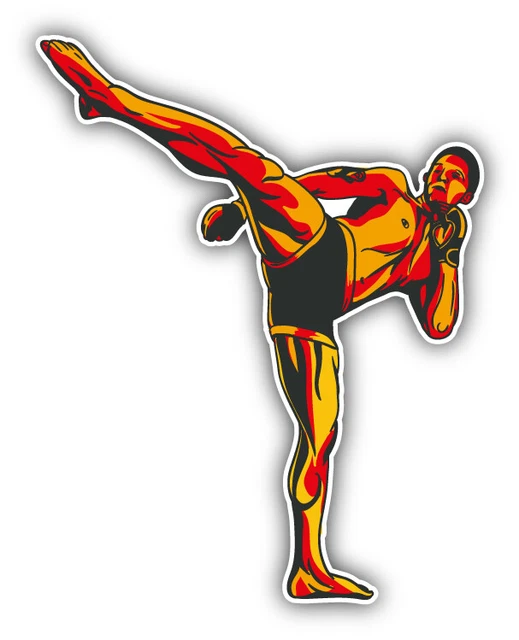 DOPASTICKER Kickboxing Fighter Car Sticker Phone Decal Water Bottle ...