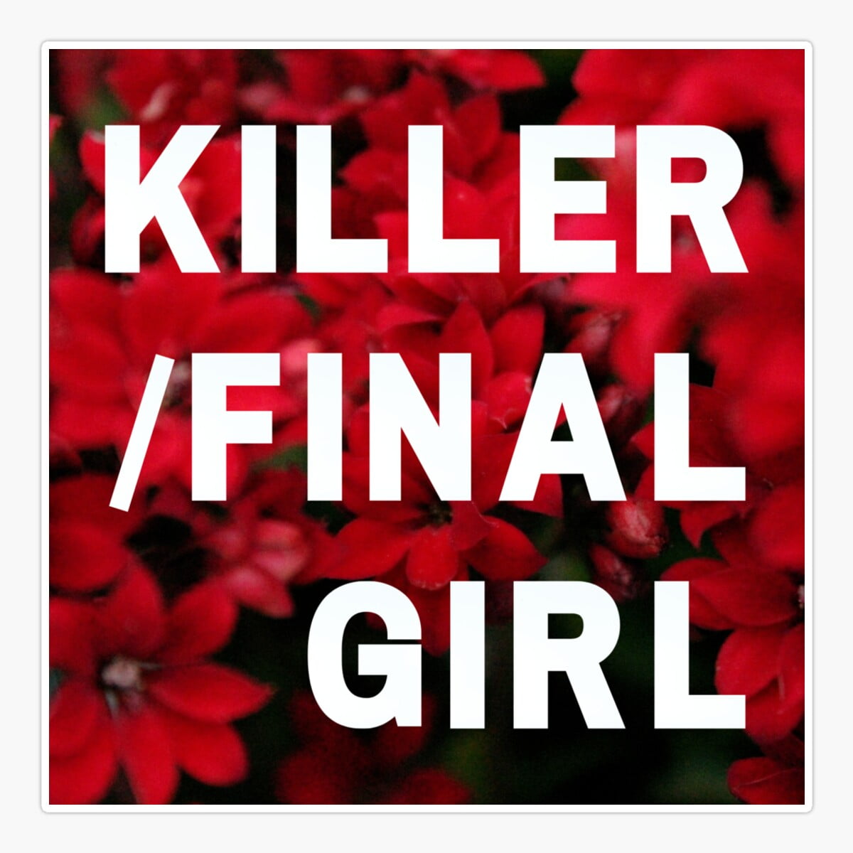 DOPASTICKER Kil.Ler,Final Girl Sticker, Phone Sticker Car Stickers ...
