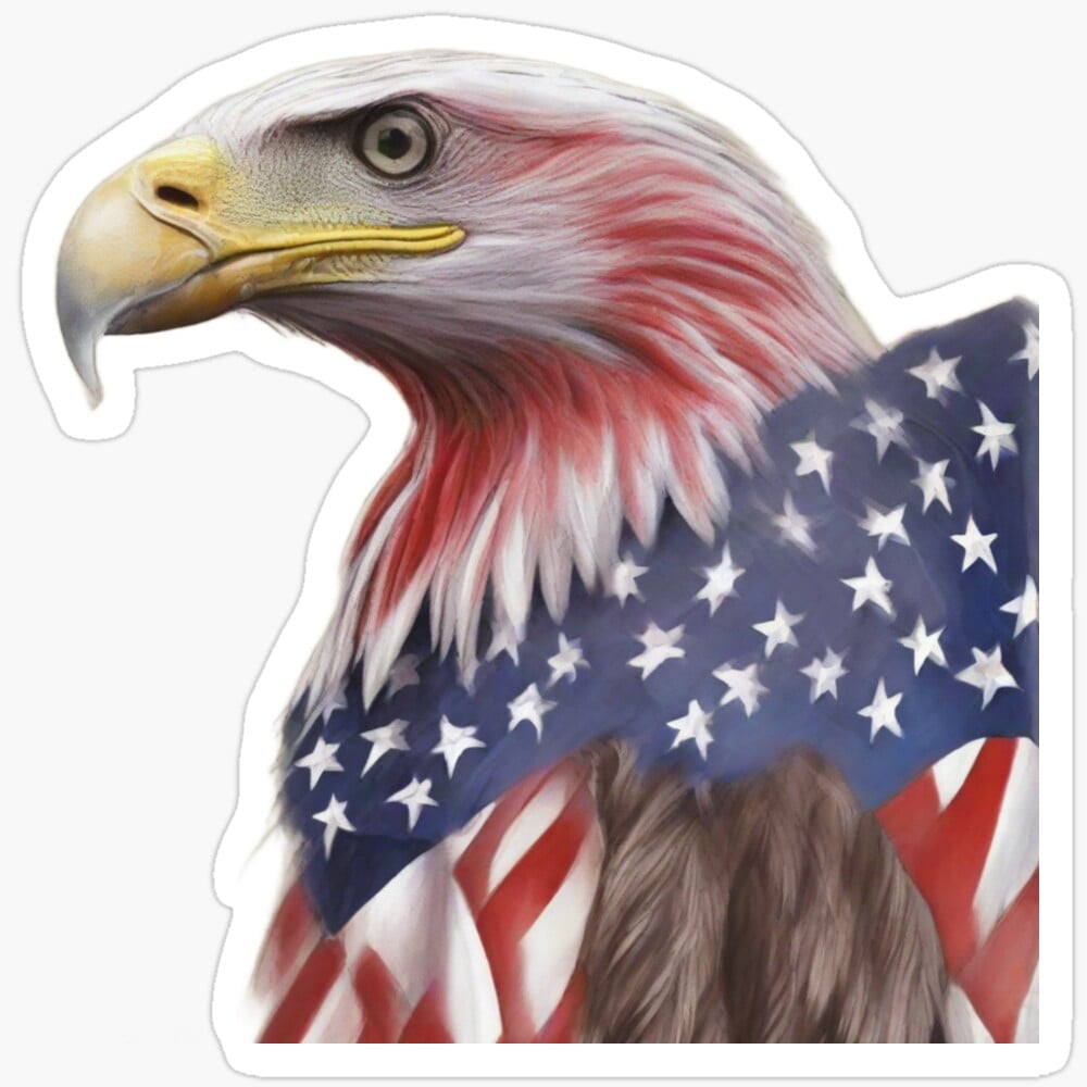 DOPASTICKER What Kind Of American Are You Sticker Fourth Of July ...