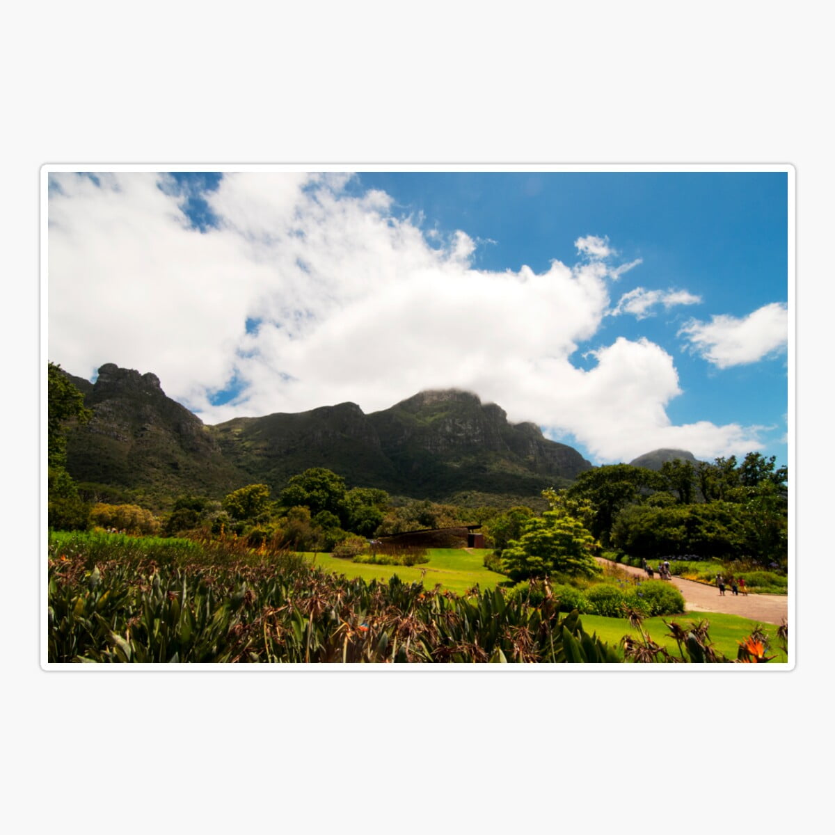 DOPASTICKER Kirstenbosch National Botanical Garden Sticker, Phone ...