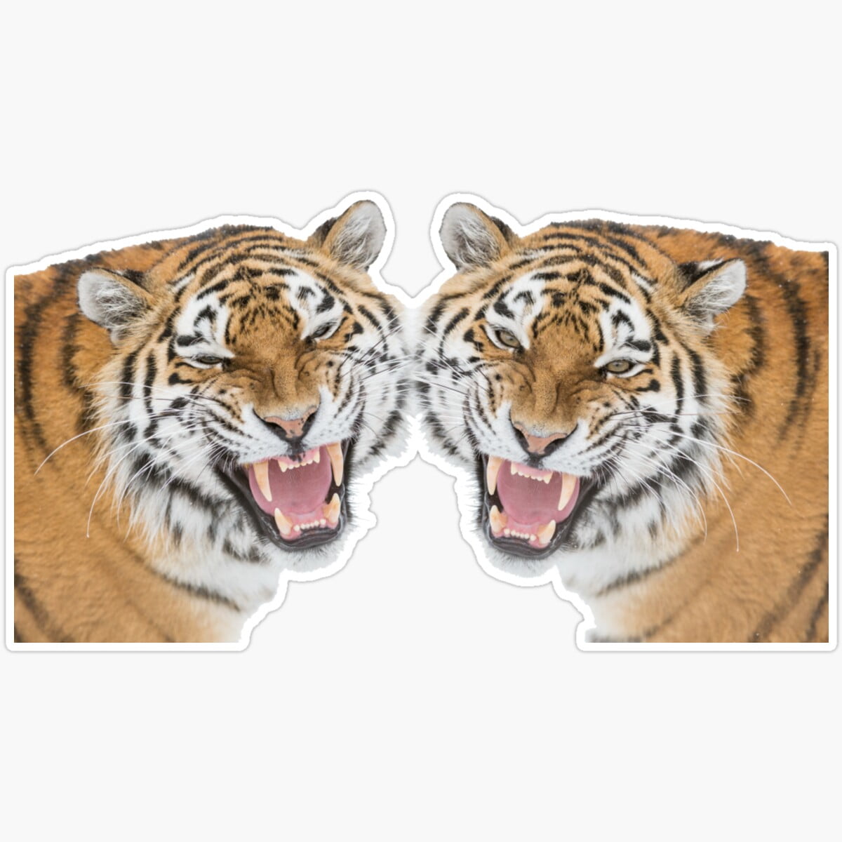 DOPASTICKER Kitties Sticker Decorative Laptop, Phone Stickers ...
