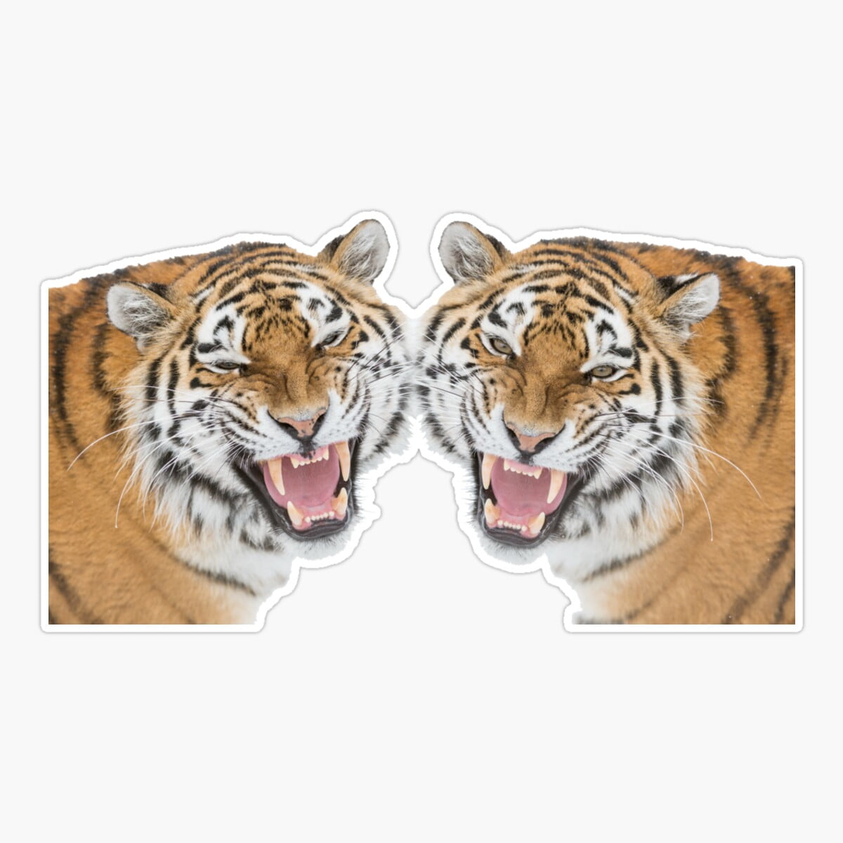 DOPASTICKER Kitties Sticker, Phone Sticker Car Stickers, Birthday Gift ...