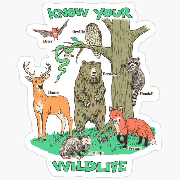 DOPASTICKER Know Your Wildlife Sticker Phone Sticker, Latop Sticker ...