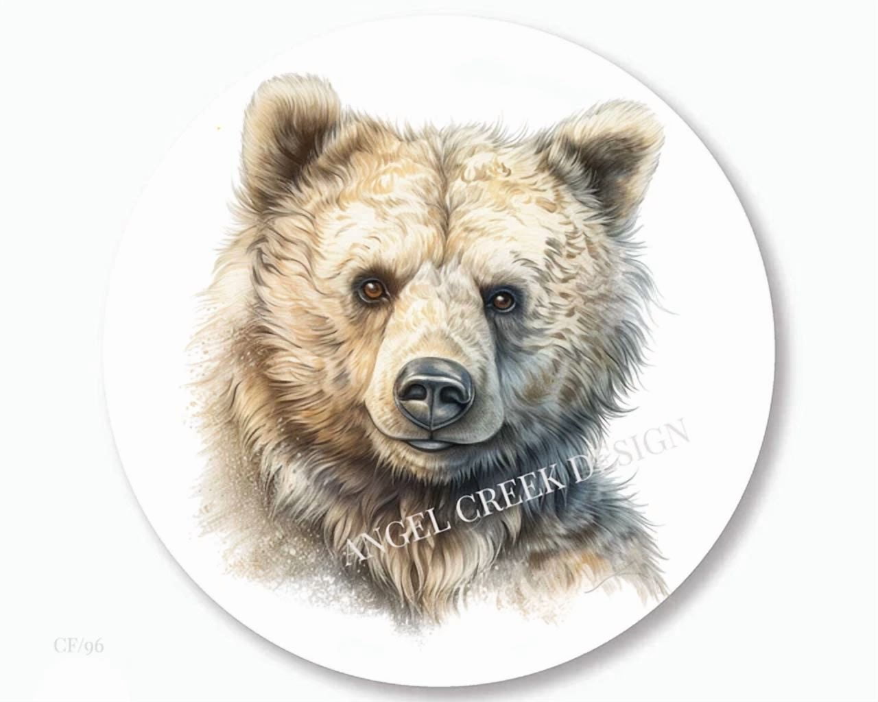 DOPASTICKER Kodiak Grizzly Bear Scrapbook Stickers Brown Bear Phone ...