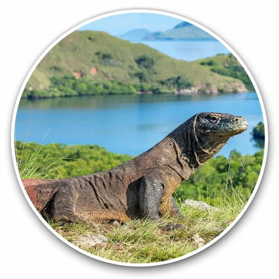DOPASTICKER Komodo Dragon Ancient Animal Cool Gift Decorative Laptop ...