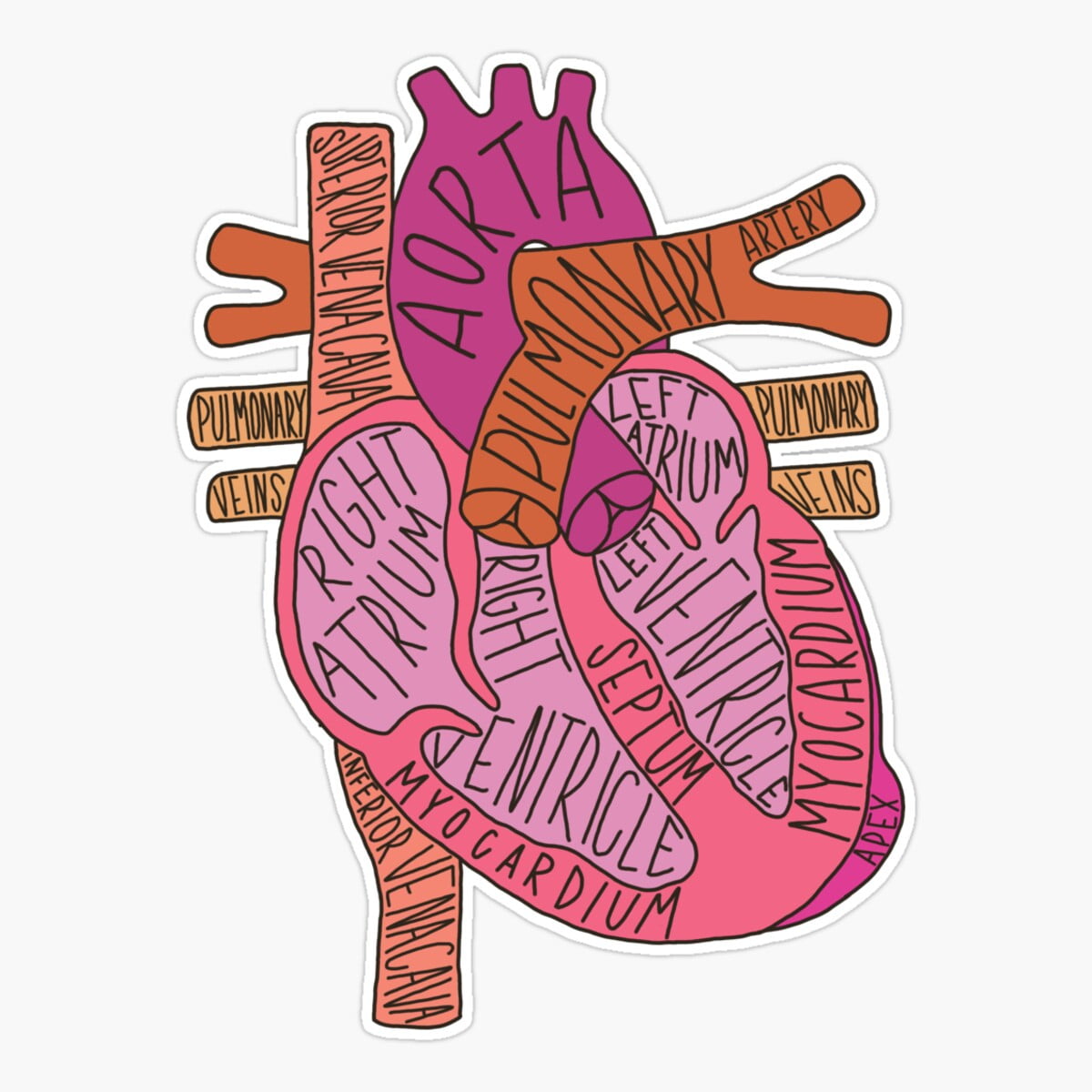 DOPASTICKER Labeled Heart Drawing Sticker, Phone Sticker Car Sticker ...