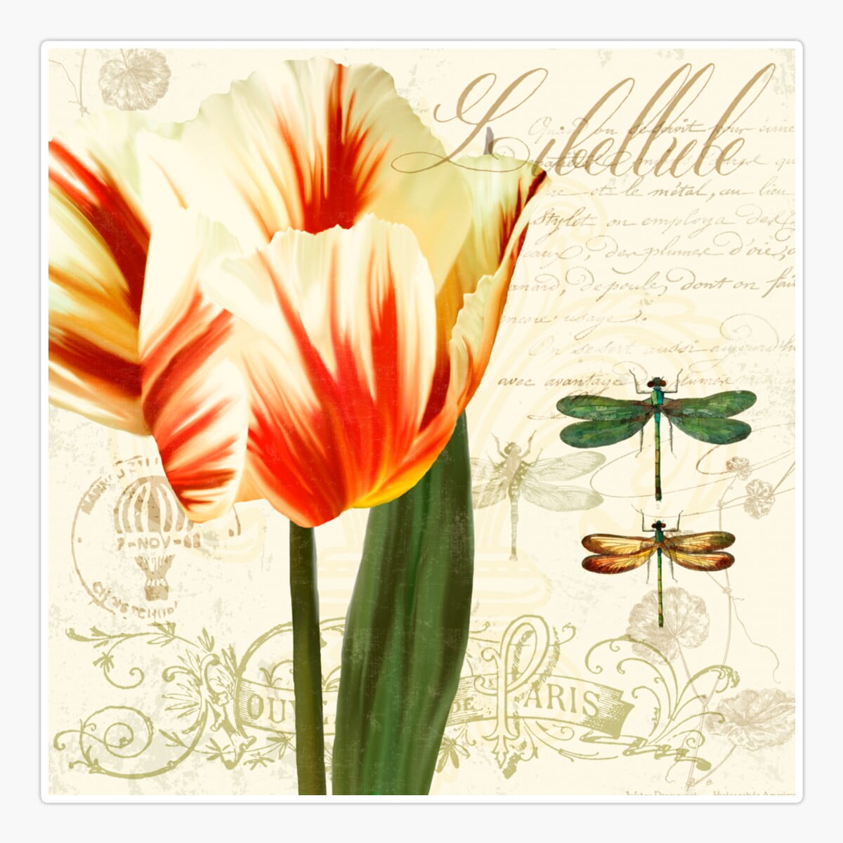 DOPASTICKER Labelliele Natural History Sketchbook Ii Botanical Study ...