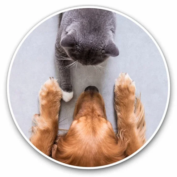 DOPASTICKER Labrador And British Grey Cat Cool Gift Decorative Laptop ...