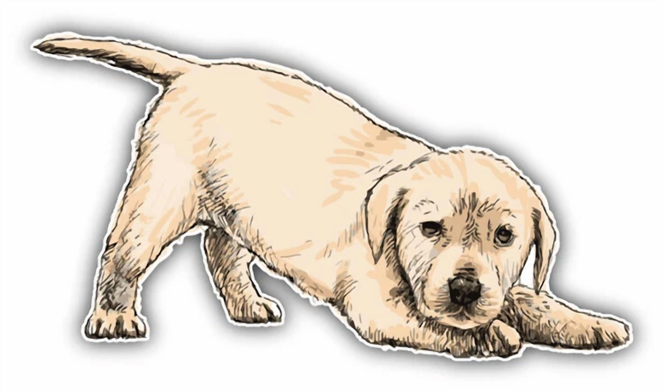 DOPASTICKER Labrador Retriever Puppy Car Sticker Phone Water Bottle ...
