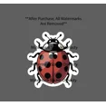 DOPASTICKER Ladybug Sticker Animal Plants Garden Nature Sticker Phone ...