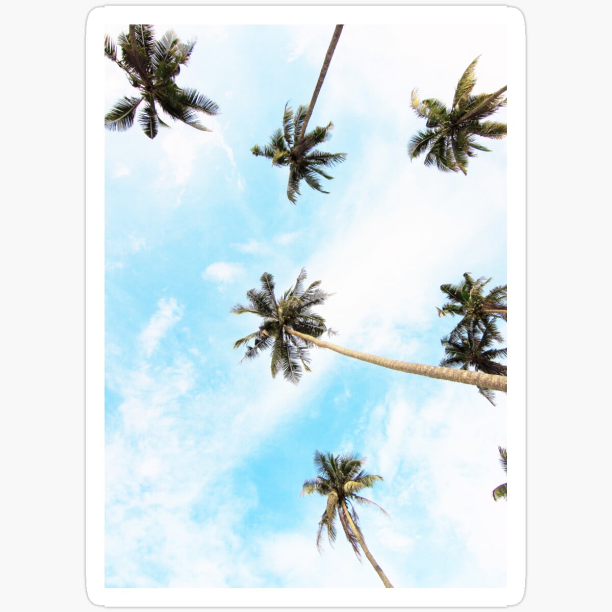 DOPASTICKER Landscape, Palms, Tropical Print, Palm Trees Sunset Sticker ...