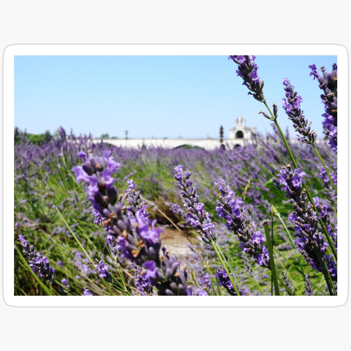 DOPASTICKER Lavender And Bridge In Provence, France Sticker Birthday ...