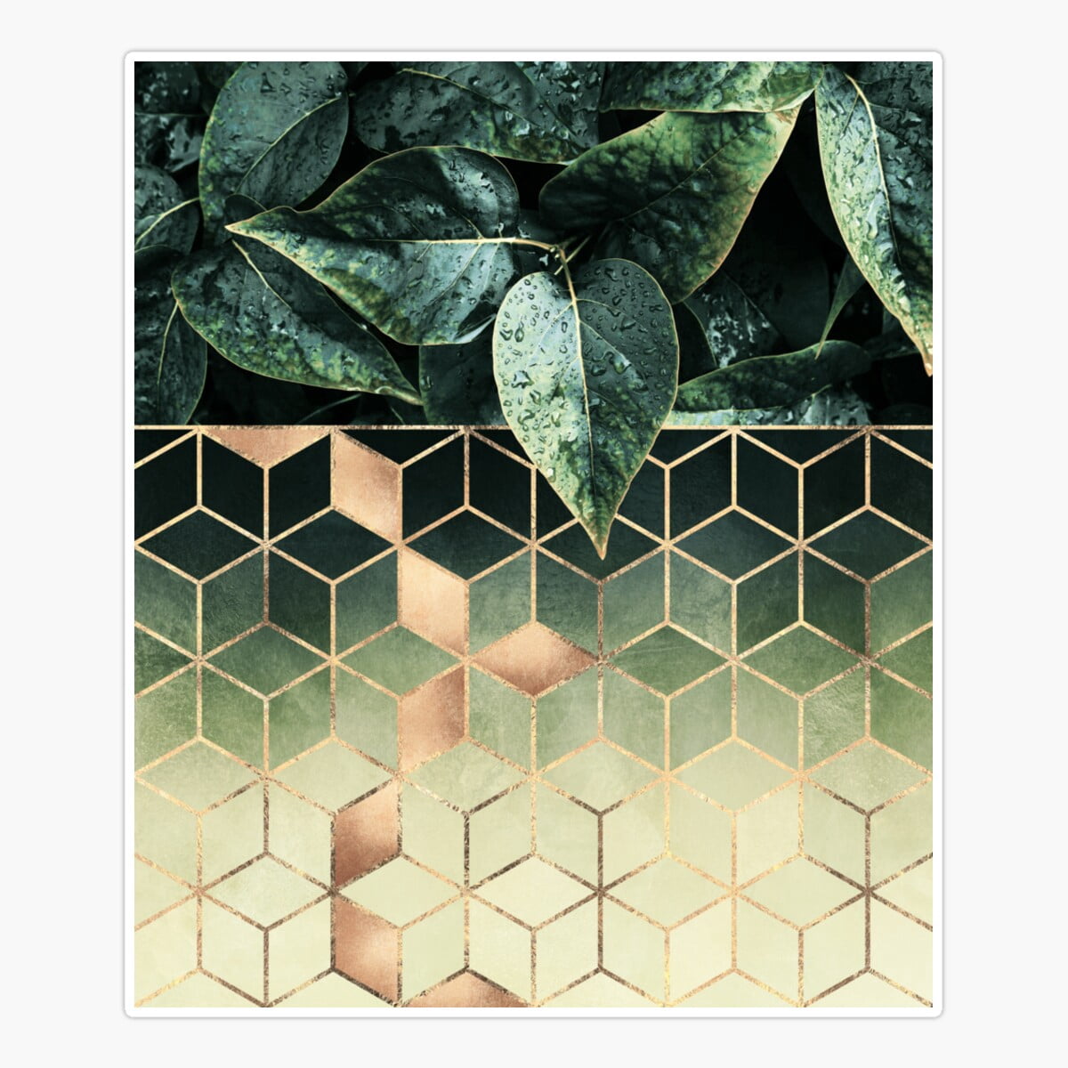 DOPASTICKER Leaves And Cubes Sticker, Phone Sticker Water Bottle ...