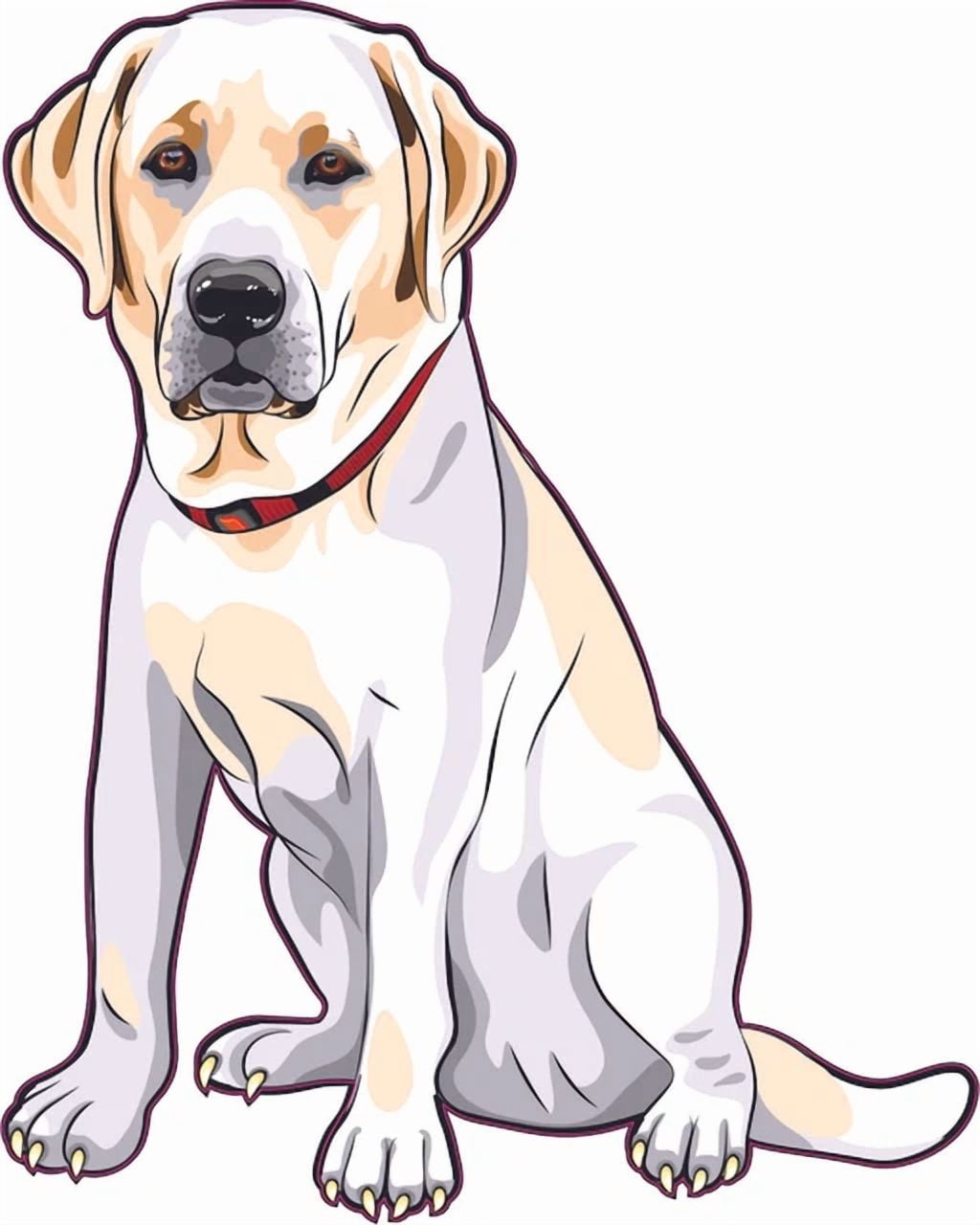 DOPASTICKER Left Facing Yellow Labrador Sticker Phone Sticker, Latop ...