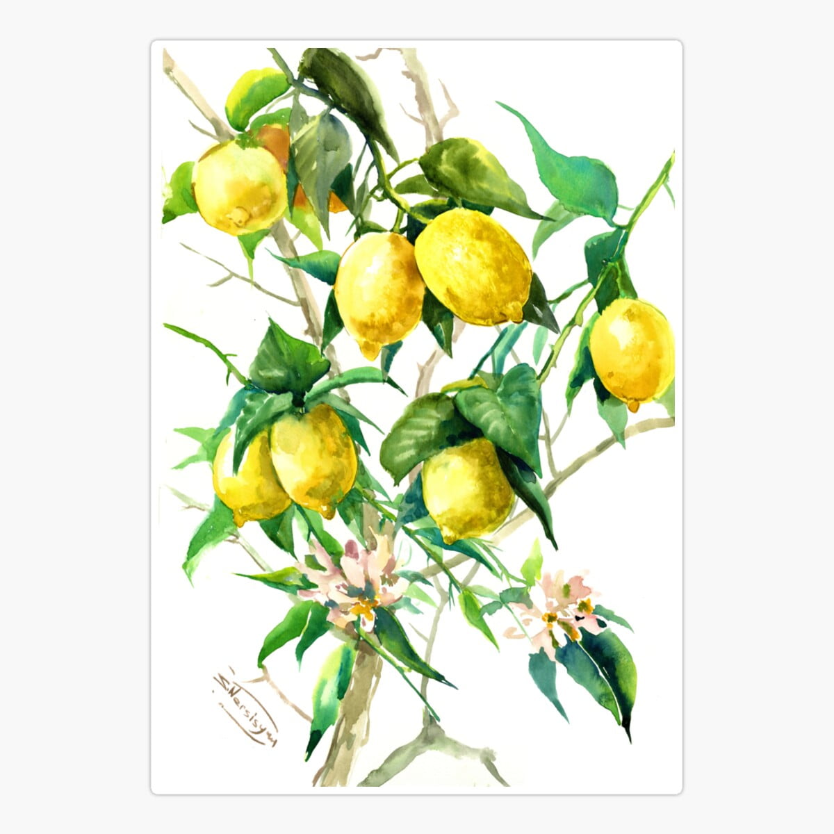 DOPASTICKER Lemons On The Tree Sticker, Phone Sticker Car Stickers ...