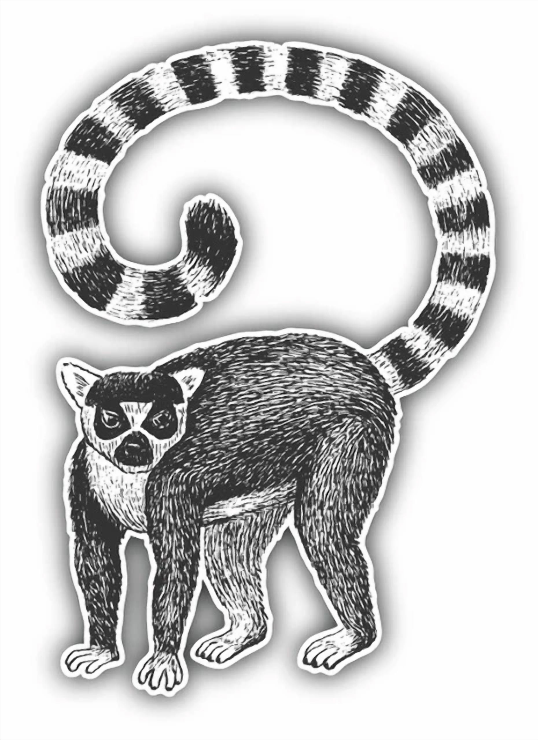 DOPASTICKER Lemur Sketch Car Sticker Phone Water Bottle Stickers, Cars ...