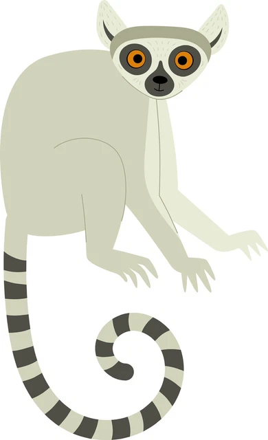 DOPASTICKER Lemur Sticker Cute Ringtail Madagascar Monkey Island ...