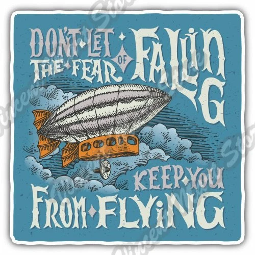DOPASTICKER Don'T Let Fear Of Falling Keep From Flying Car Sticker ...