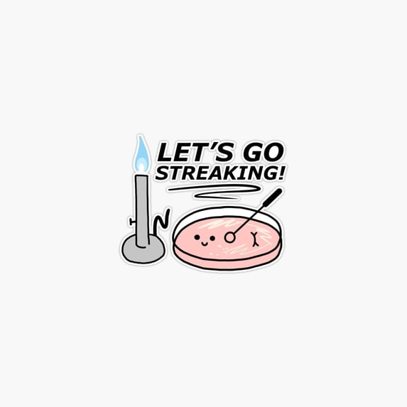 DOPASTICKER Lets Go (Plate) Streaking!!! Sticker Phone Sticker, Latop ...