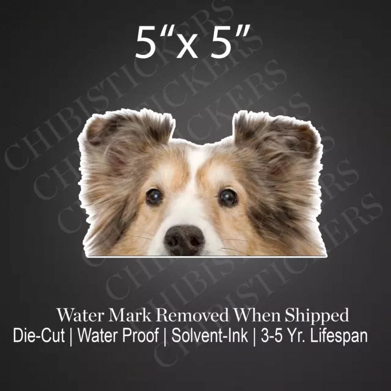 DOPASTICKER Light Sable Shetland Sheepdog Realistic Dog Waterproof ...